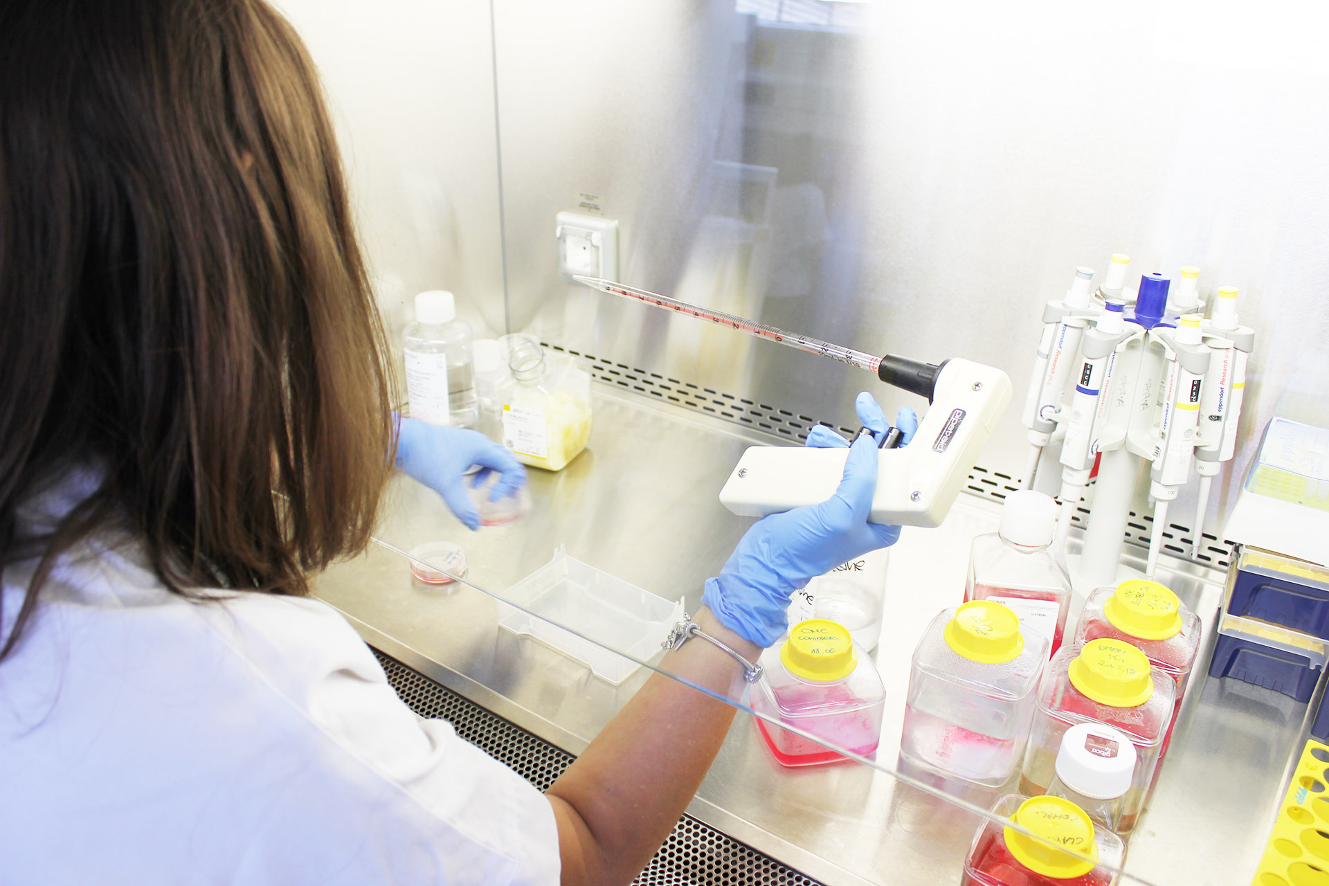 Laboratory for Cardiovascular Theranostics : Istituto Cardiocentro Ticino